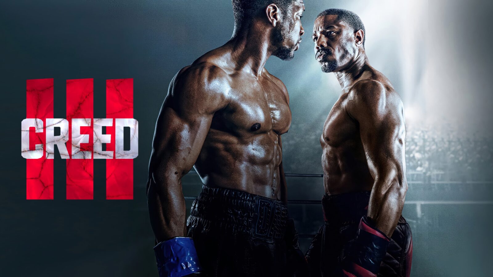 جديد شهر اغسطس على OSN+