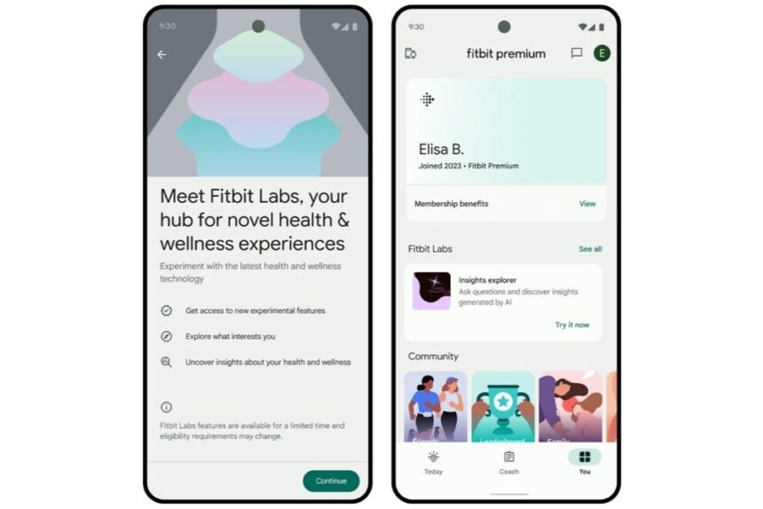 Google Fitbit Labs introduces an AI chatbot that decodes your health ...